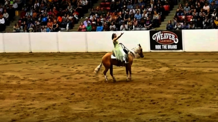 Freestyle Reining Champions Deliver A Beautiful Performance And Leave ...