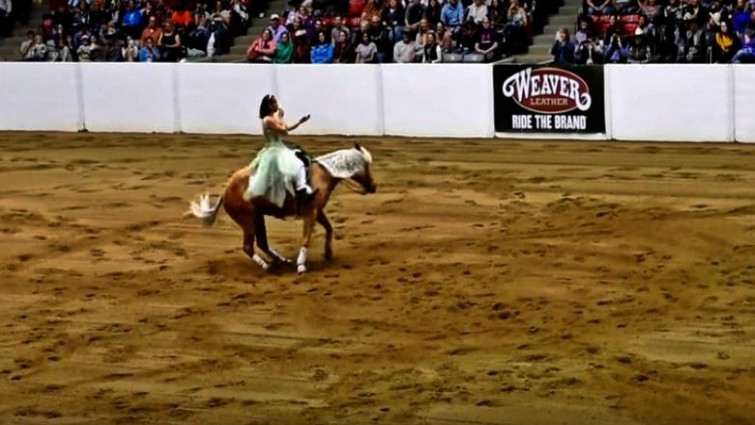 Freestyle Reining Champions Deliver A Beautiful Performance And Leave ...