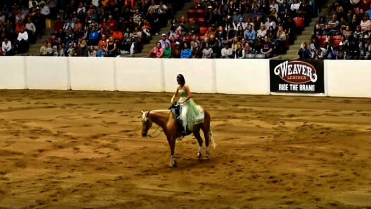 Champion Reining Horses