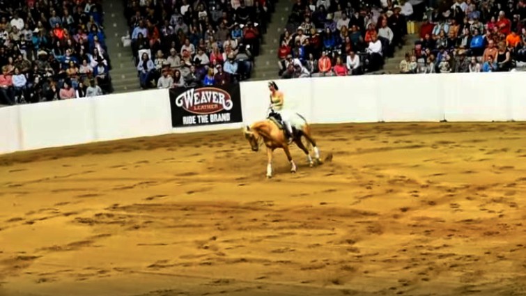 Freestyle Reining Champions Deliver A Beautiful Performance And Leave ...